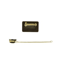 Varsity Pin | TSA Store